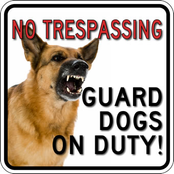 Window Decal - Guard Dogs On Duty - 6x6 (Package of 3 ...